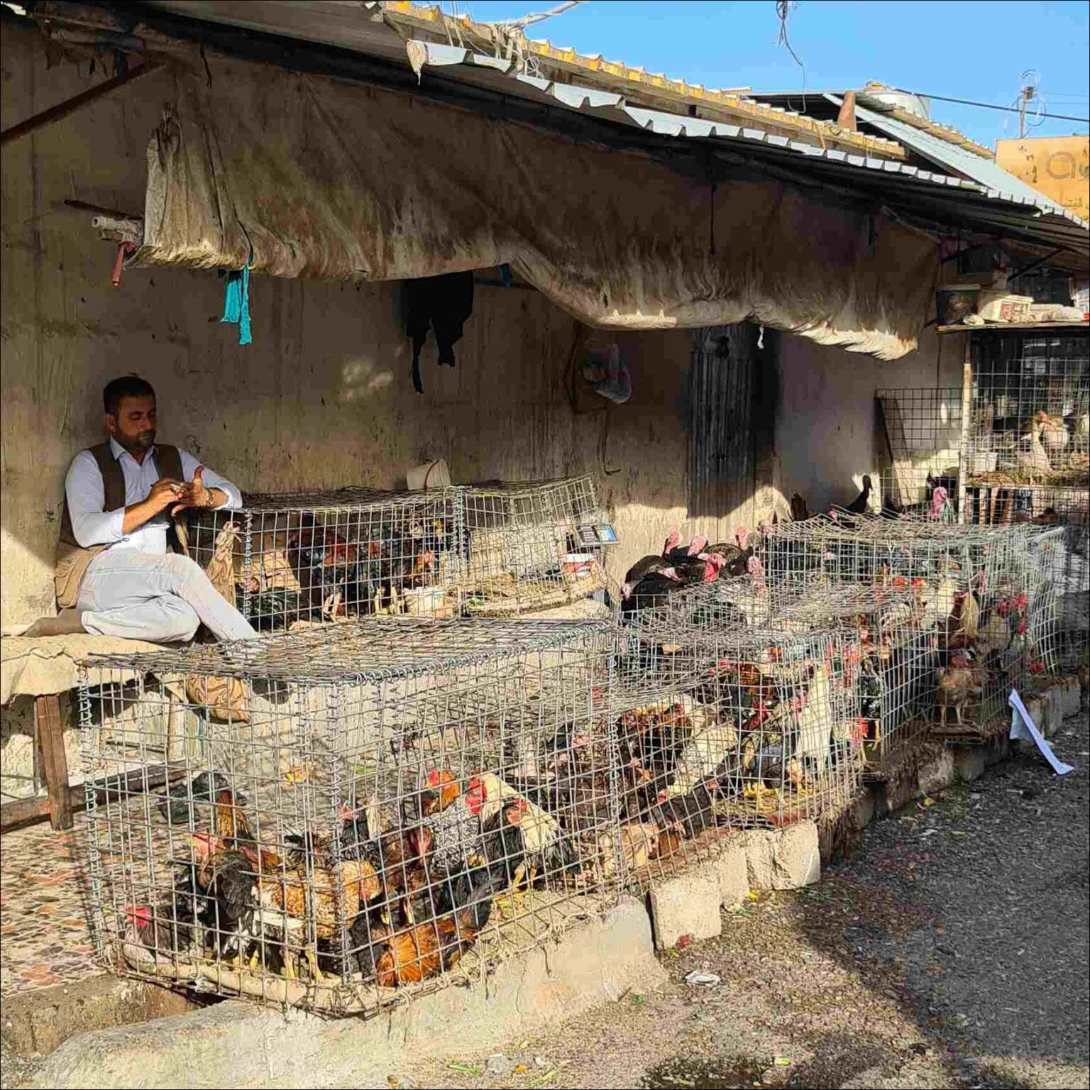 Que faire et que visiter à Erbil