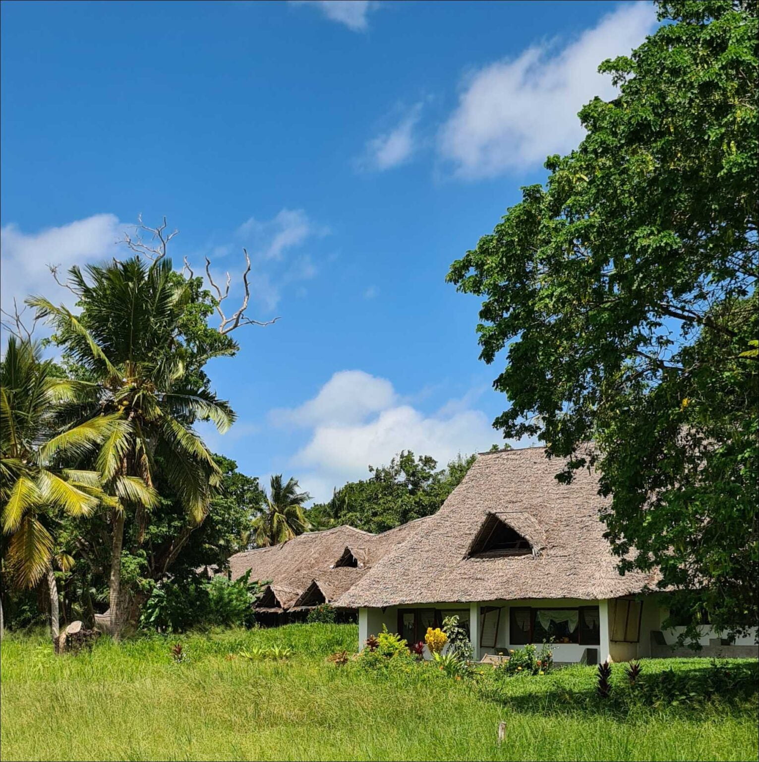 Visit Mafia Island : 20 things to do