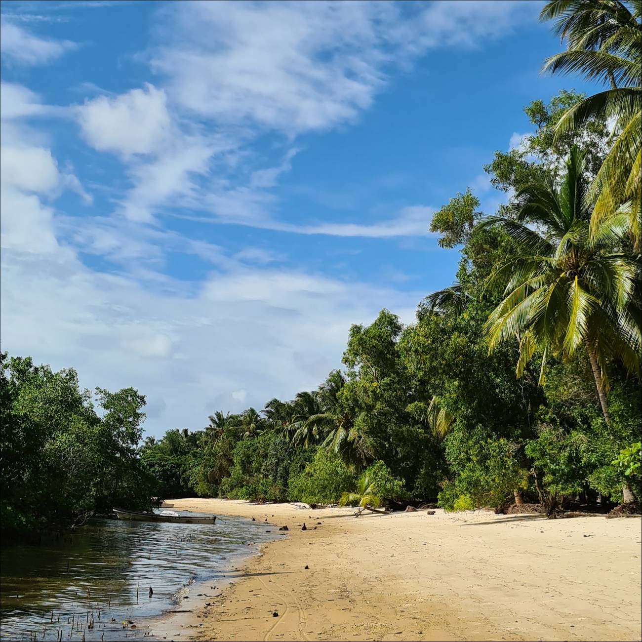 Visit Mafia Island : 20 things to do