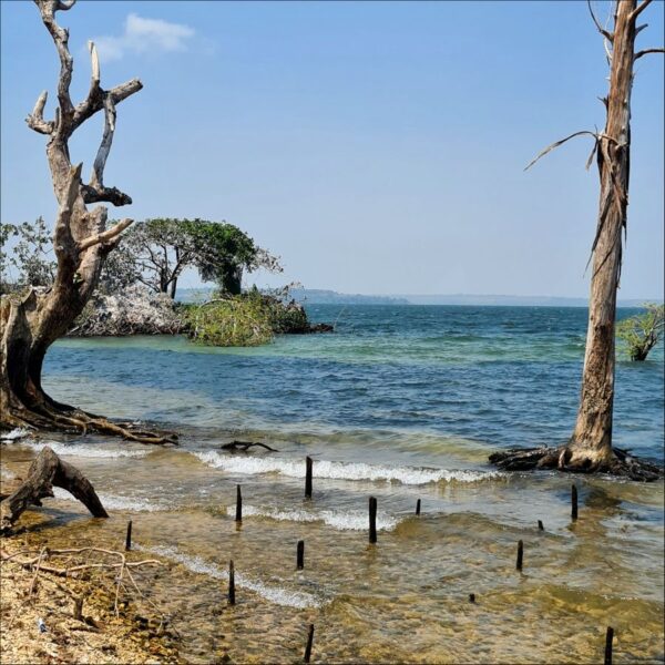 The best things to do in Ssese Islands, Uganda