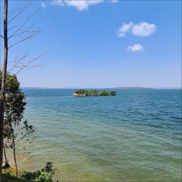 10 choses à faire sur les îles Ssese en Ouganda