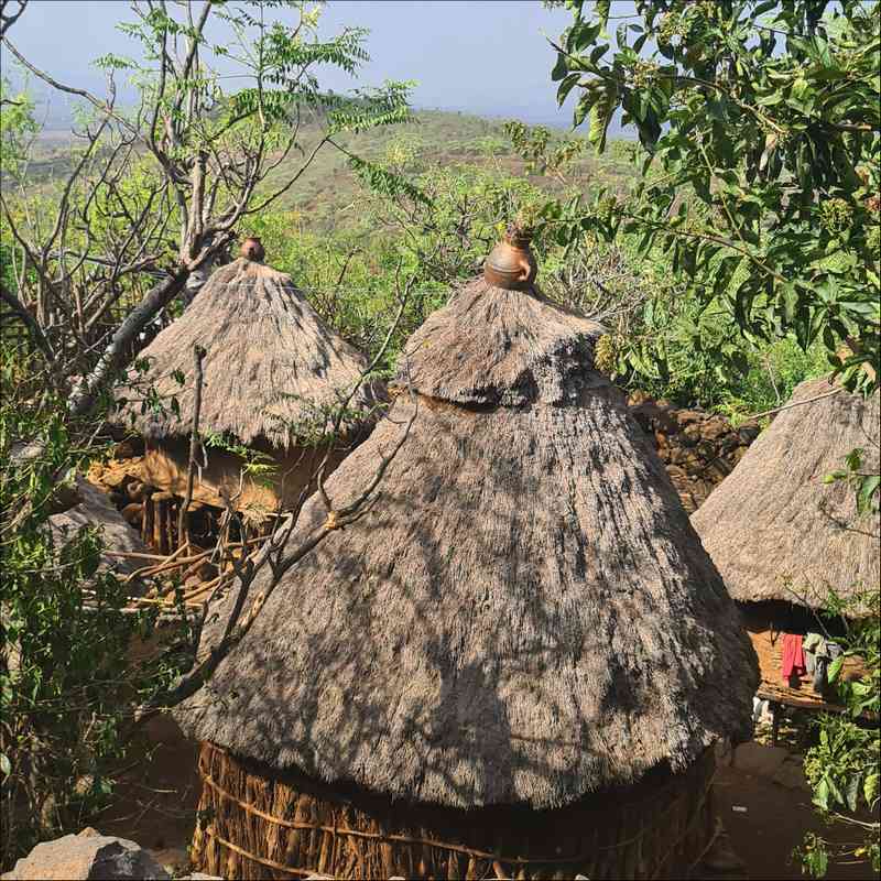 Pourquoi visiter l'Éthiopie ? 10 faits et particularités fascinants