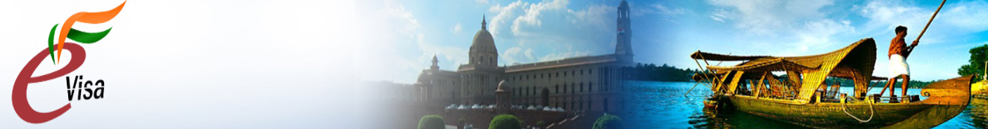 How to apply the Indian e-visa : a step by step guide