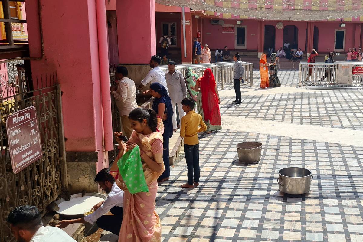 Visit the Rat Temple in Deshnoke | Karni Mata