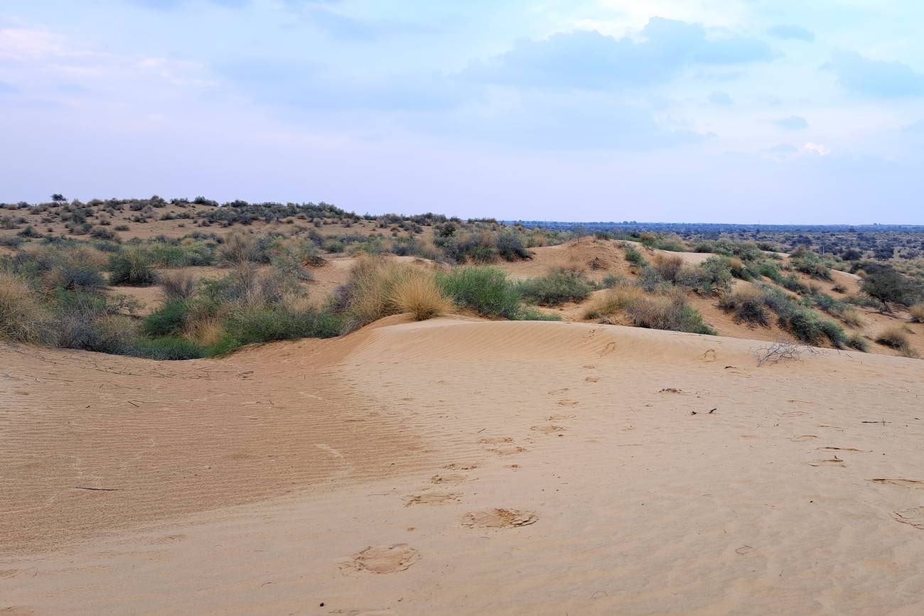 Visit the Rat Temple in Deshnoke | Karni Mata