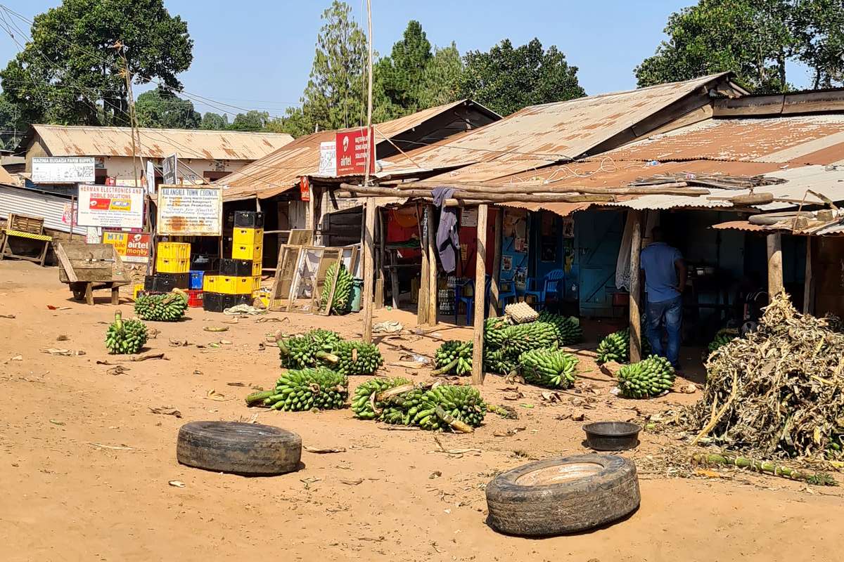 Ssese Island in Uganda | Travel guide